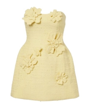 LEO Rosario Tweed Bustier Dress - Nude