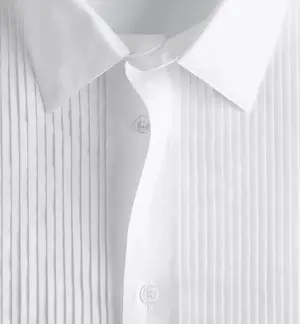 Dior Shirt With Pleated Plastron