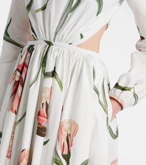 Giambattista Valli Macro Carnation Cutout Poplin Maxi Dress