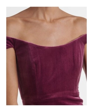 Alex Perry Off-shoulder Velvet Corset Dress