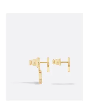 Dior Dioevolution Earrings