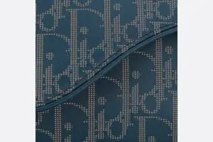 Dior Logo Chest Bag