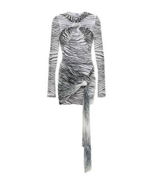 Attico Fran Zebra-print Tulle Minidress - Gray