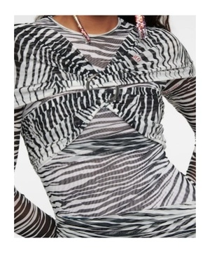 Attico Fran Zebra-print Tulle Minidress