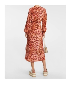 Stella McCartney Cheetah-print Silk Maxi Dress