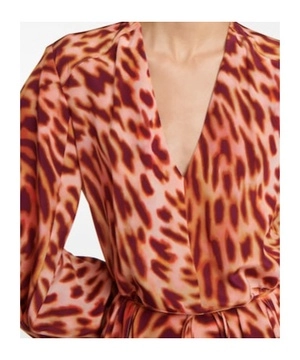 Stella McCartney Cheetah-print Silk Maxi Dress