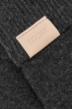 Loewe Gloves In Cashmere