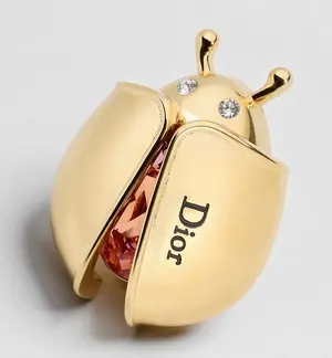 Dior Lady Spark Brooch