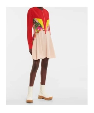 Stella McCartney Printed Silk Minidress