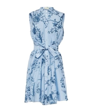 Erdem Printed Cotton Silk Voile Minidress - Blue