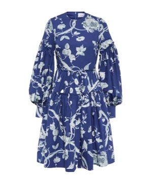Erdem Floral Poplin Minidress - Blue