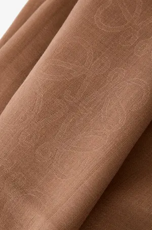 Loewe Scarf In Wool And Silk