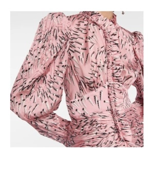 Rabanne Printed Ruched Minidress
