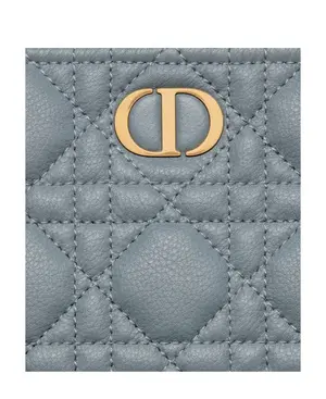 Dior Large Caro Daily Pouch