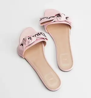 Dior Embroidered Ribbon Slides