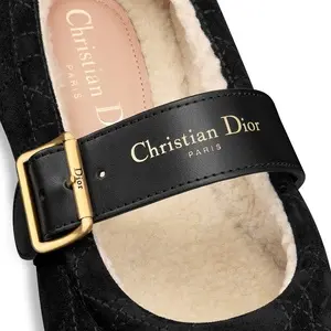Dior Dioralps Frost Ballet Flat