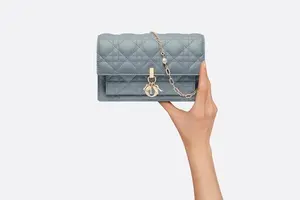 Dior Lady Chain Pouch