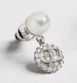 Dior Logo Earrings