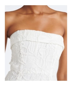 Simkhai Rennis Organza Bustier Gown