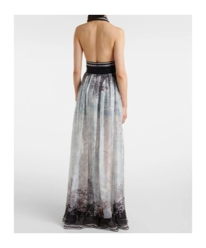 Elie Saab Printed Silk Chiffon Maxi Dress
