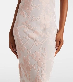 RODARTE Floral Appliqué Velvet Maxi Slip Dress - Nude