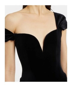 Alex Perry Asymmetric Velvet Bustier Gown