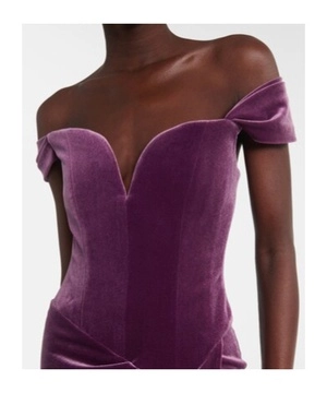 Alex Perry Asymmetric Velvet Bustier Gown