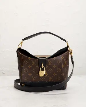 FWRD RENEW Louis Vuitton Monogram Reverse Bento Box Ew Shoulder Bag