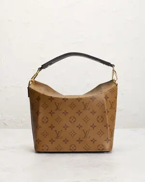 FWRD RENEW Louis Vuitton Monogram Reverse Bento Box Ew Shoulder Bag