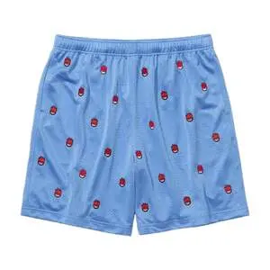 Supreme X Spitfire Ss26 Mesh Short - Blue