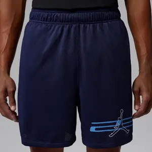 JORDAN Dri-fit Mesh Graphic Shorts