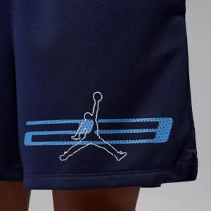JORDAN Dri-fit Mesh Graphic Shorts
