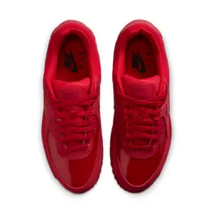 Nike Air Max 90 Shoes