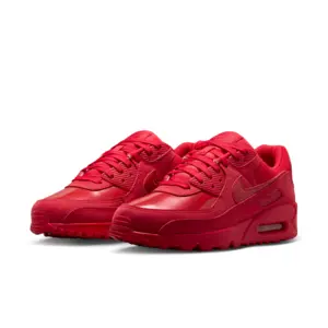 Nike Air Max 90 Shoes