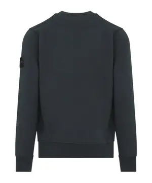 Stone Island Crewneck Sweatshirt With Logo Patch - Green