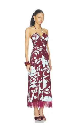 Cara Cara Maxi Dress