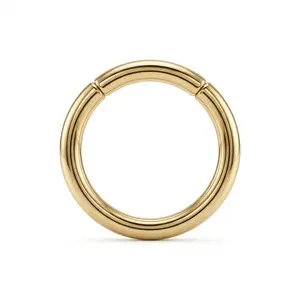 Zahav Jewelry 14k Solid Captive Segment Clicker Hoop - Gold