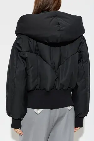 Attico Insulated Hooded Jacket
