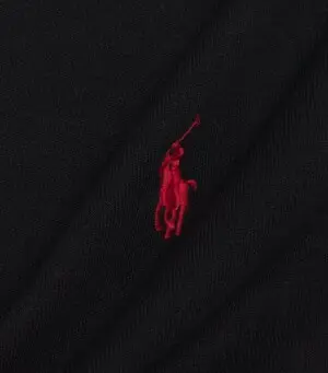 Polo Ralph Lauren Double-knit Logo Hoodie