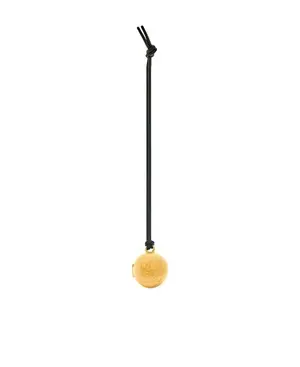 Loewe Pebble Locket Charm In Brass