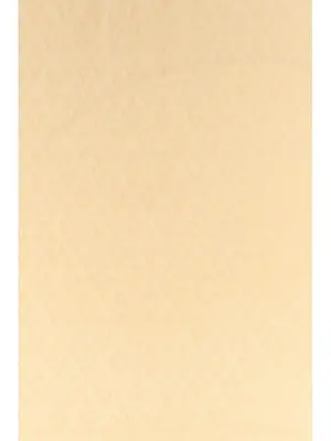 Valentino Garavani Tasseled Scarf