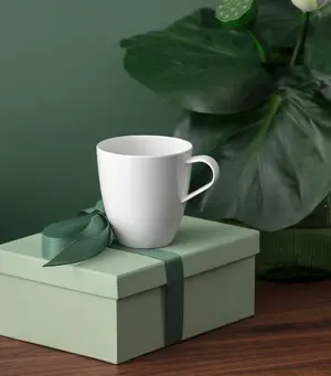 VILLEROY & BOCH Pura Mug