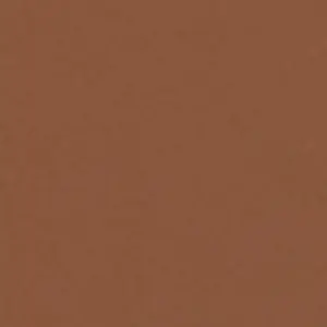 Max Mara Leather Belt