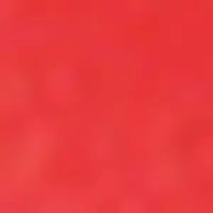 Amina Muaddi Leather Juliette Sandals - Red