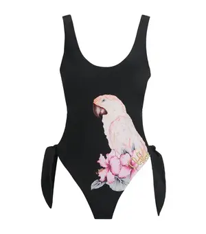 Chloé Parrot Cut-out Swimsuit - Black