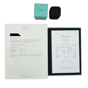 Tiffany & Co. 0.74 Ct Princess Diamond Novo Engagement Ring