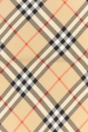 Burberry Printed Silk Foulard - Multicolor