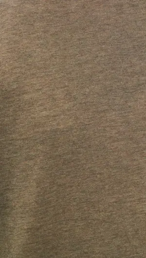 AGOLDE Sasha Tee