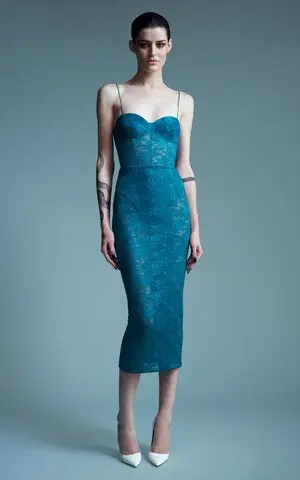 Alex Perry Cupped Sheer Stretch Lace Maxi Dress