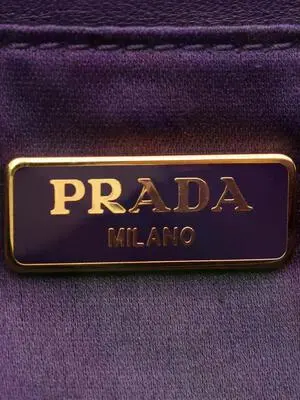 Prada Tessuto Stampato Chain Crossbody Bag